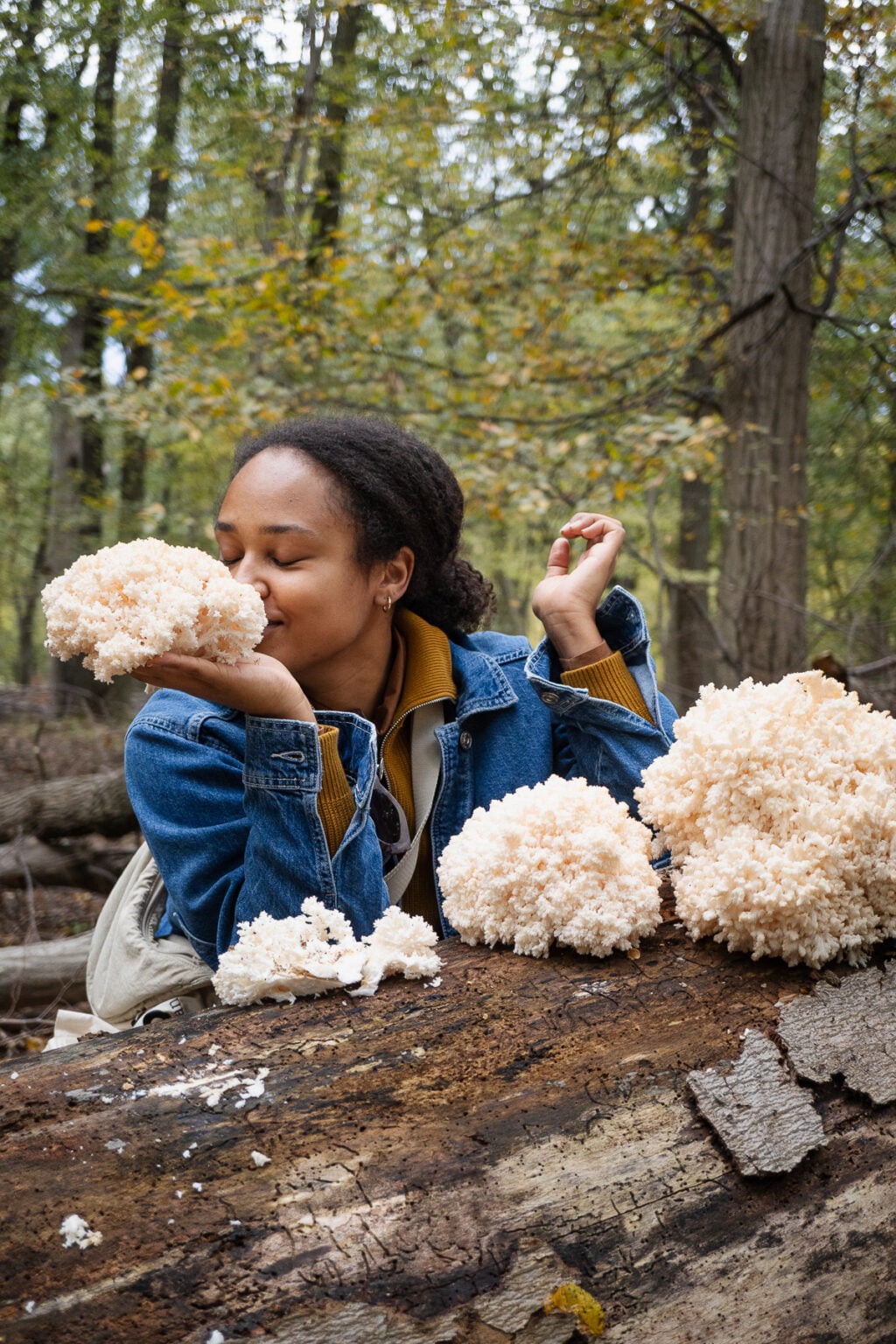 Fried Coral Tooth Mushroom